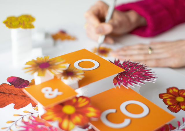 KO & CO | Friday Creative